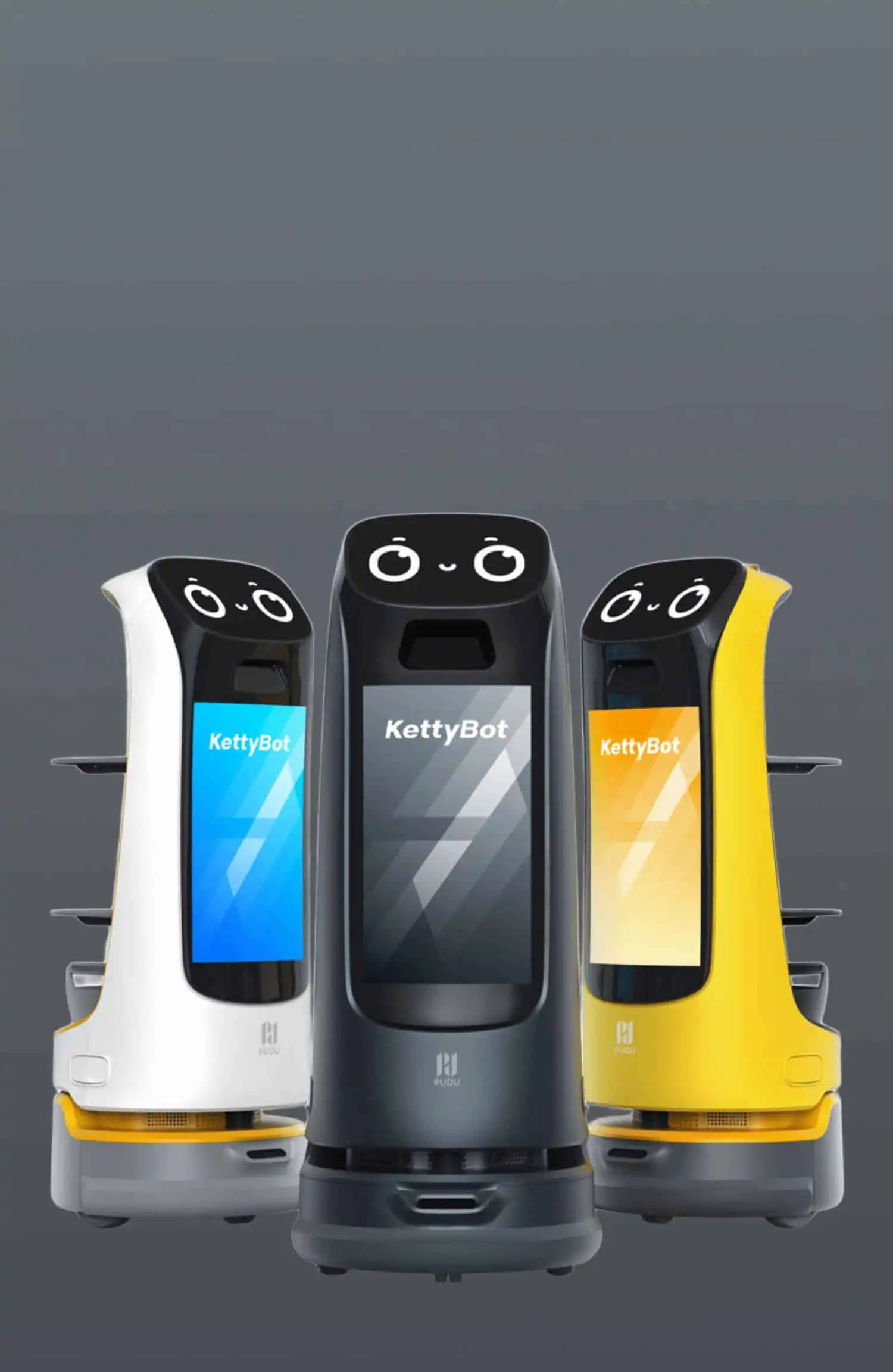KettyBot Pro | Delivery & Advertising Robot Services in Pakistan